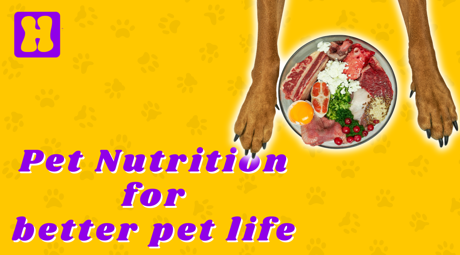 How Important is Pet Nutrition for Better Pet Life - Hugsy Pets Nepal