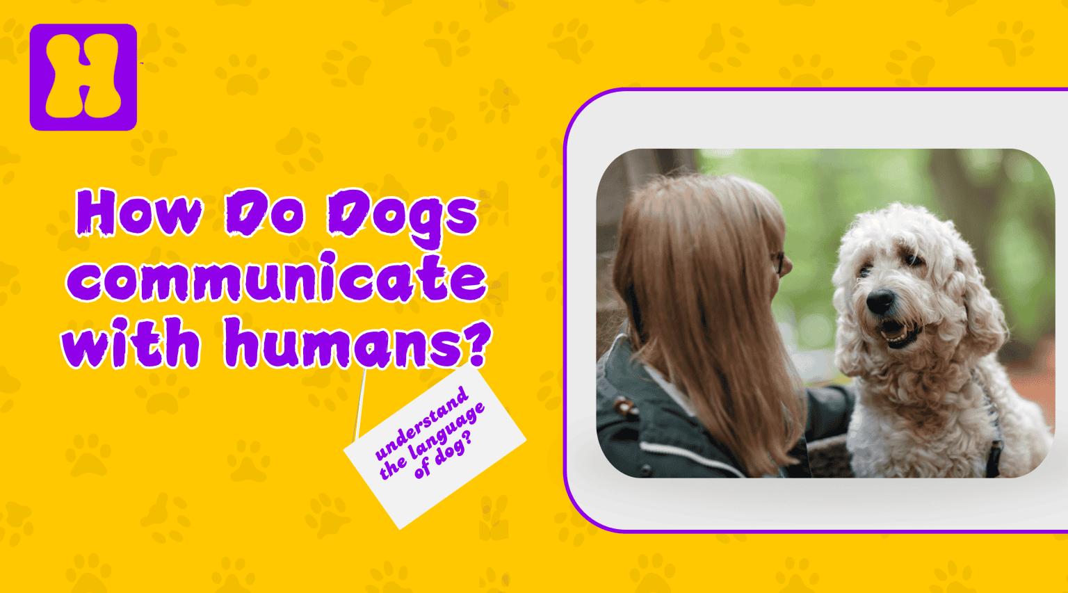 Understand the sign of dog communucation - Hugsy Pets Nepal